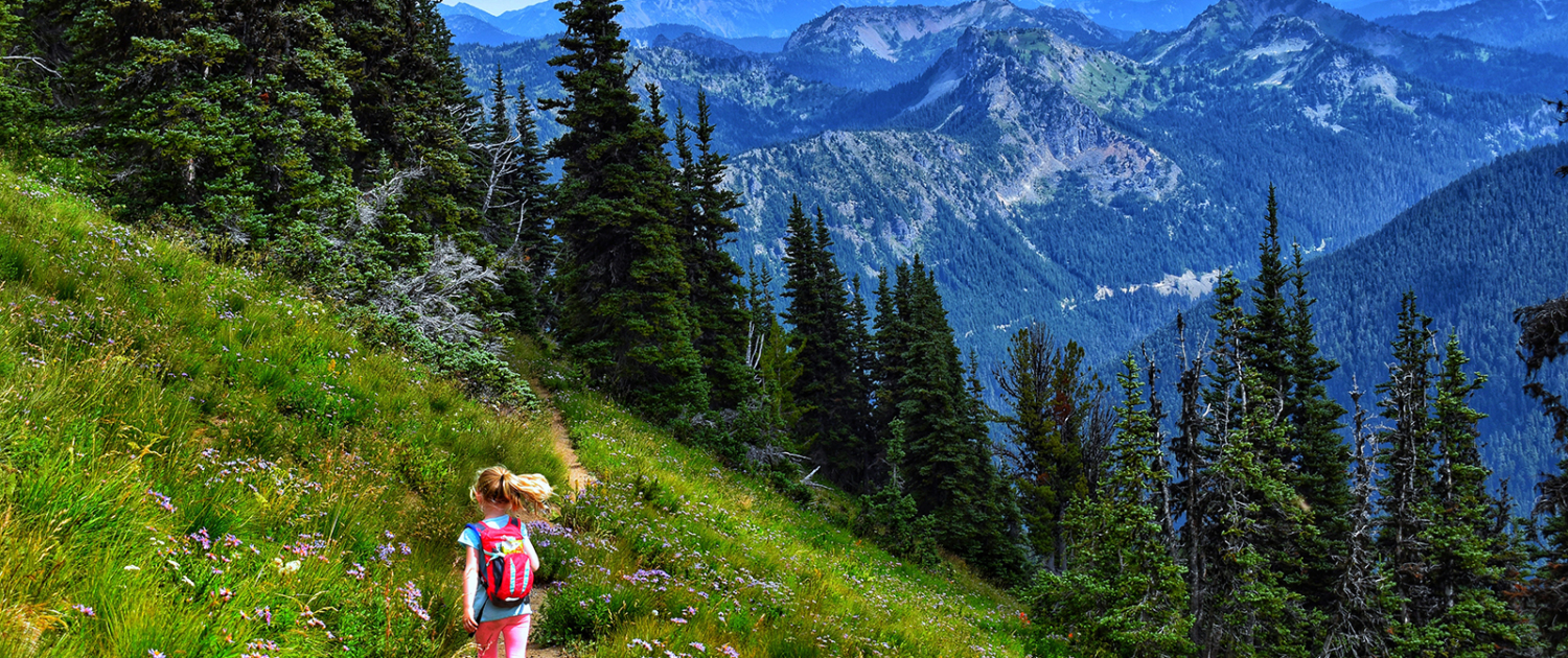 The Wilderness Protocol - TCARES