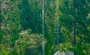 The Wilderness Protocol - TCARES.NET